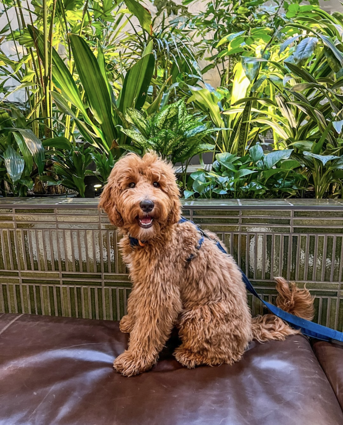 Gallery - Emery